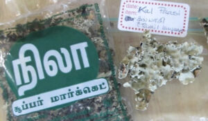 Lichen Basics - North American Mycological Association
